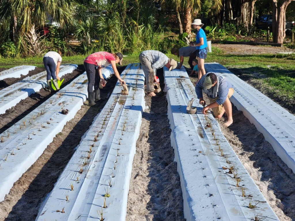 Gallery – 12 Seasons Farm